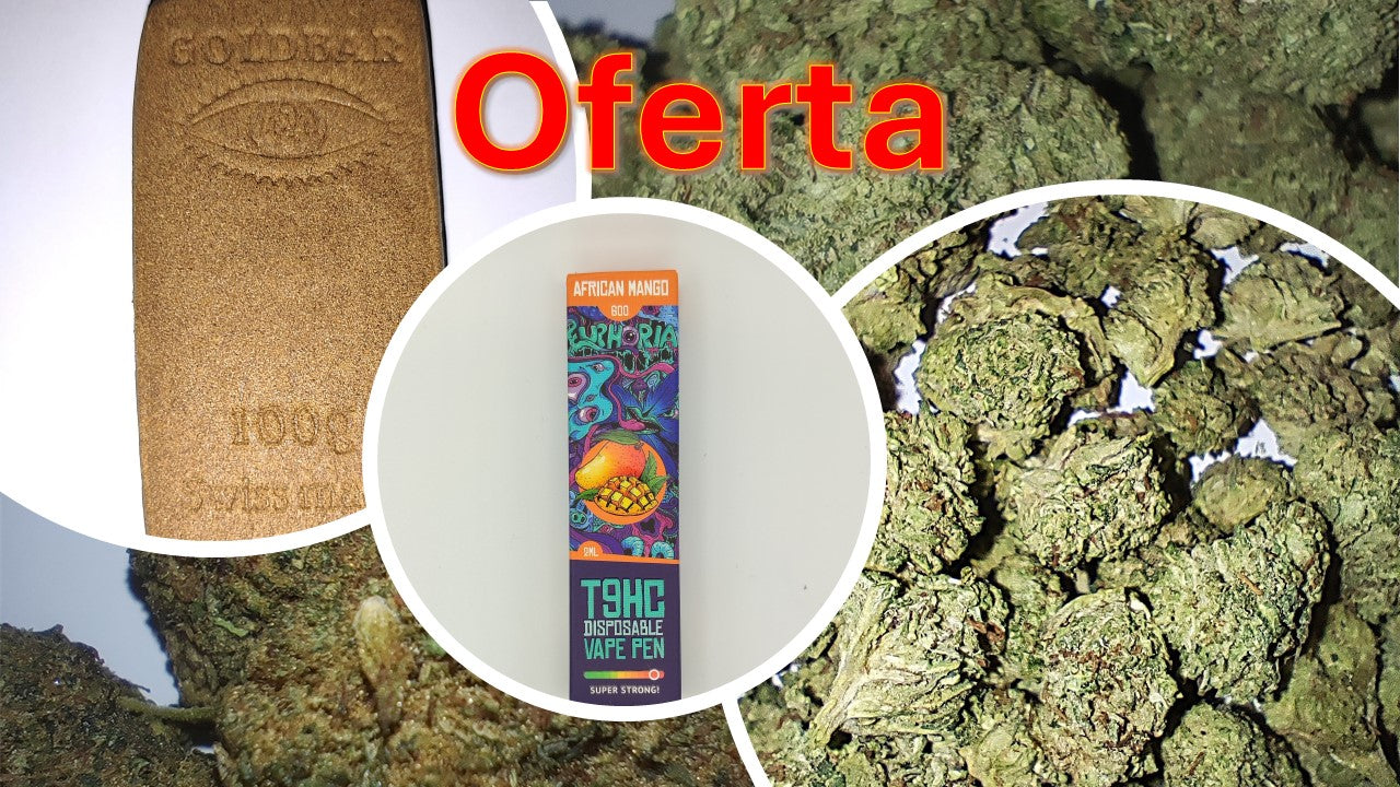 CBD Precio Mas Barato | OFERTA de CBD | DOC CBD – CBD Elche - DOC CBD